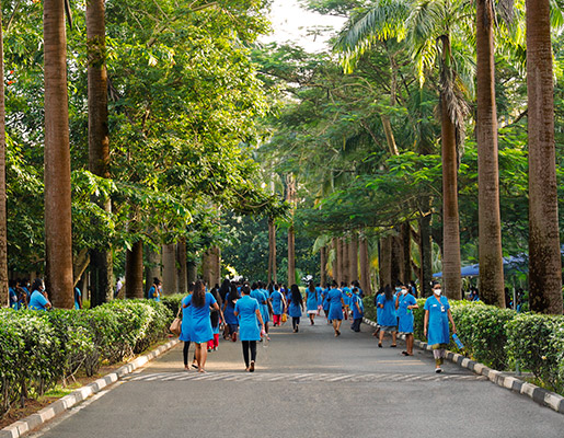 Visit Calzedonia's official website: Socks, Tights, Leggings and ...